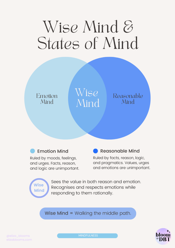 Exploring the Core Principles of Dialectical Behaviour Therapy – Eliza ...