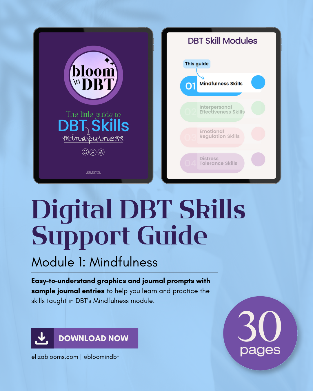 Downloadable DBT Resources & Tools – Eliza Blooms