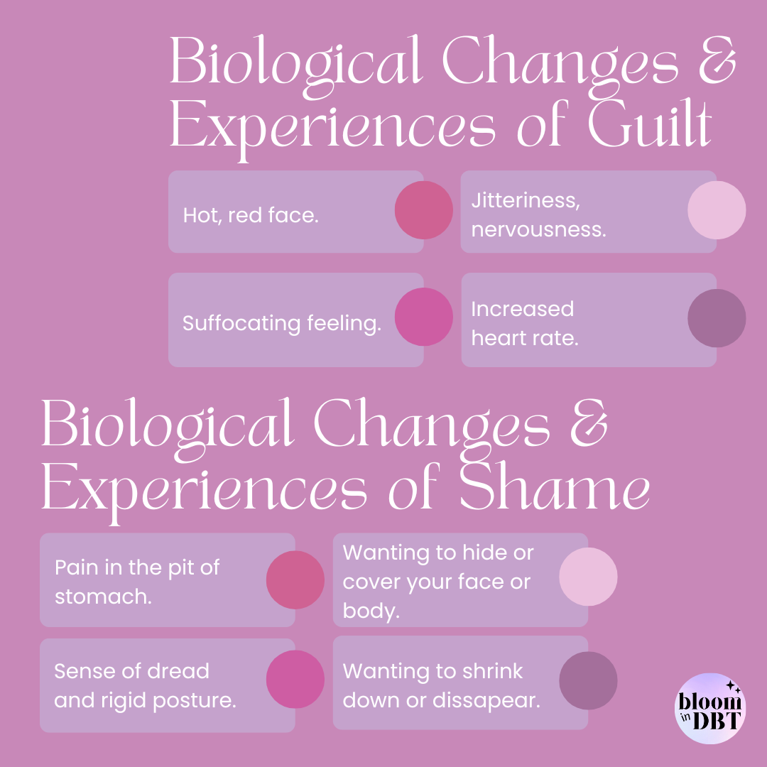 Can You Tell the Difference Between Guilt and Shame? – Eliza Blooms