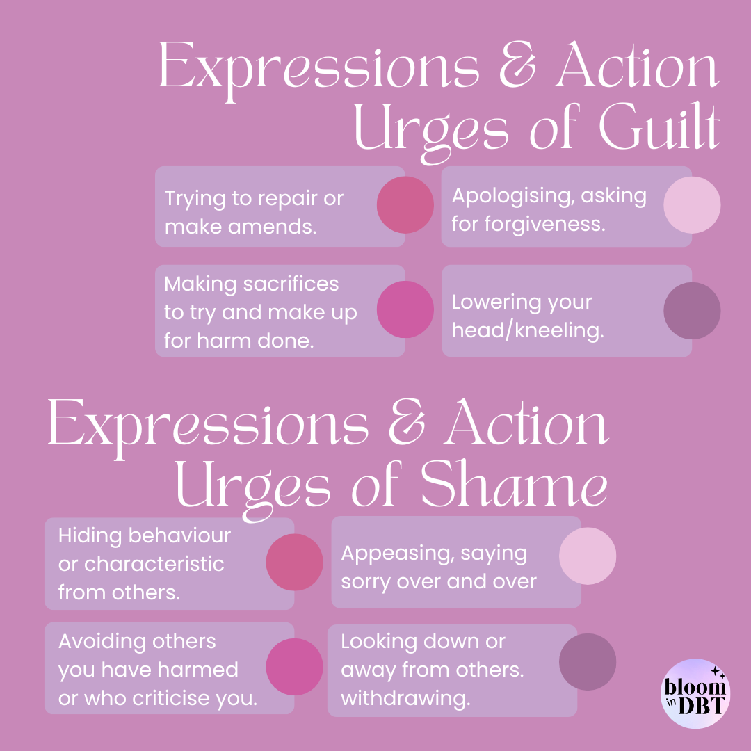 Can You Tell the Difference Between Guilt and Shame? – Eliza Blooms